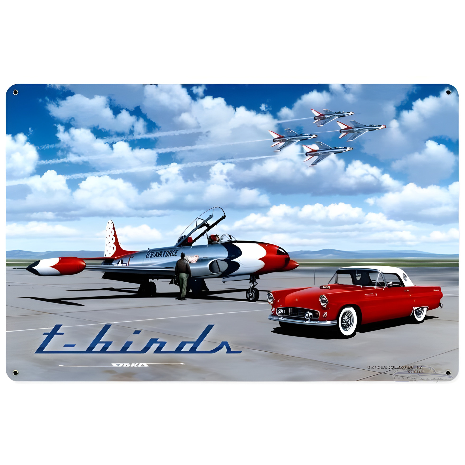 T Birds Vintage Metal Sign - 18"x12" - Durable & Easy to Hang